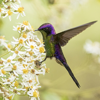 Getting perfect colours "out of the box" is difficult to achieve. Our ...